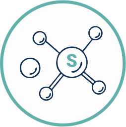 Neevo Life - Sustainability Simplified! – neevolife